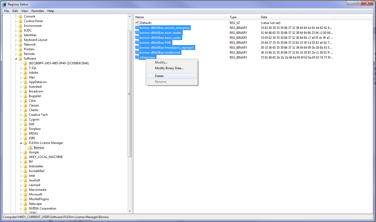 Cannot check out floating license, but have borrowed a license recently ...